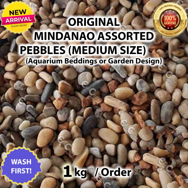 1kg ORIGINAL MINDANAO Pebbles Assorted (SMALL SIZE) Assorted Mindanao ...
