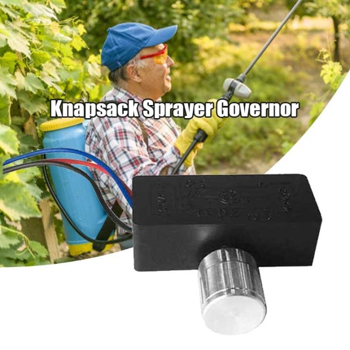 12V Electric Sprayer Governor, Adjustable Pressure Power Switch For ...
