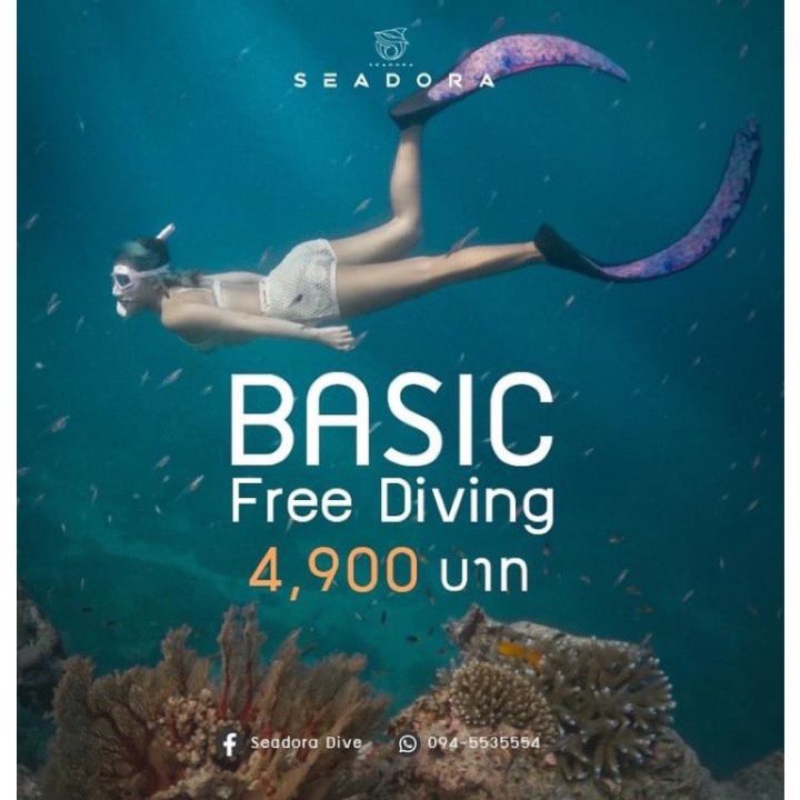 Basic Freediving Course | Lazada.co.th