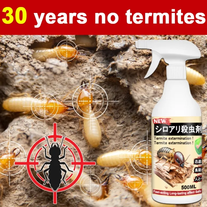 Whole nest gone ANKYO Termite killer spray 500ml Termite spray killing ...