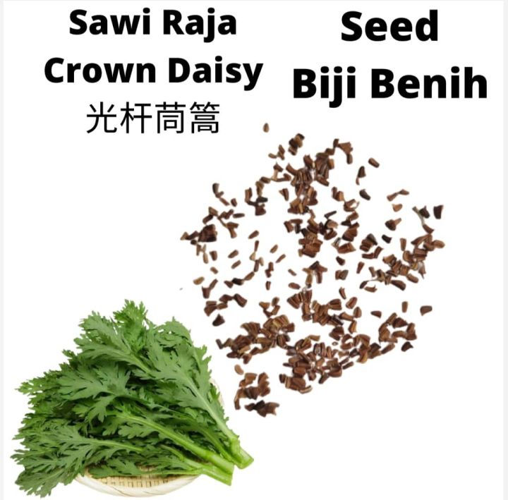 Crown Daisy光杆茼篙菜种子 Garland Sawi Raja Biji Benih Vege Sayur sayuran ...