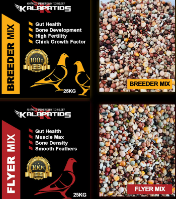 KALAPATIDS BREEDER AND FLYER MIX REPACKED (1KG) | Lazada PH