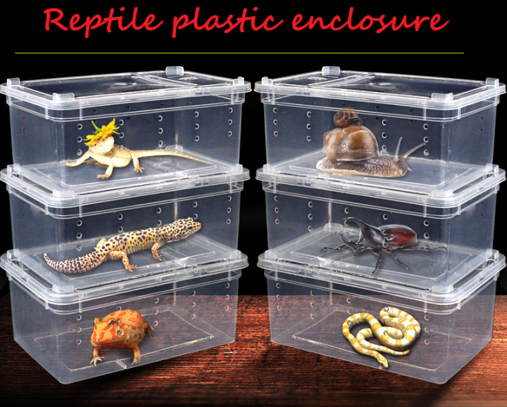 Small Reptile Enclosure Plastic Tank (Snake/Gecko/Tarantula/Scorpion ...