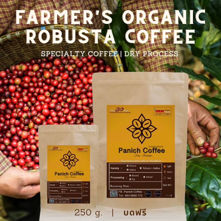 Panich Coffee เมล็ดกาแฟโรบัสต้าคั่ว Organic & Single-Origin 250g. Dry ...