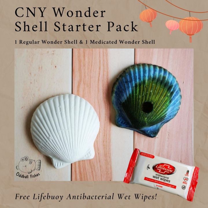 American Aquarium Products Wonder Shell Water Conditioner (Super Size ...