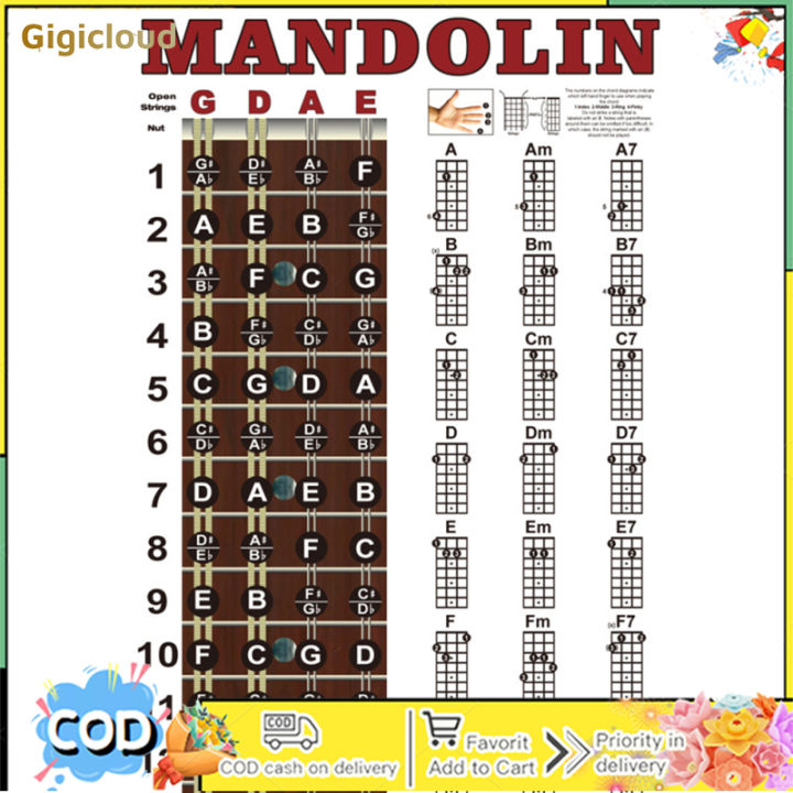 Mandolin Fretboard Notes Chart Finger Placement Chords Theory Poster ...