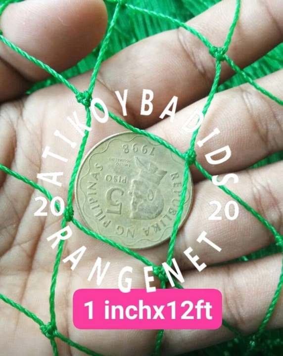 1 inch x 12 ftx100 meters - Range Net/Chicken Net /Poultry Net / Fish ...