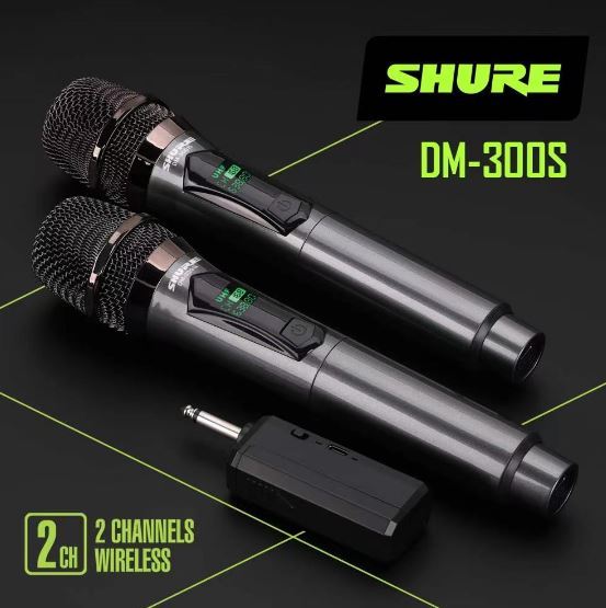 Wireless DM - 300S Dual Rechargeable Karaoke Microphone Heavy Duty with ...