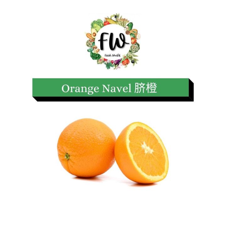 Orange Navel 肉橙 (XL Size) Daily Fresh Fruit 1PCS/3PCS/5PCS | Lazada