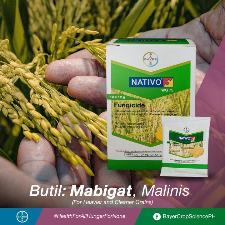 NATIVO WG 75 10 x 12 g FUNGICIDE BY: BAYER FOR PLANT CARE AND CROPS ...