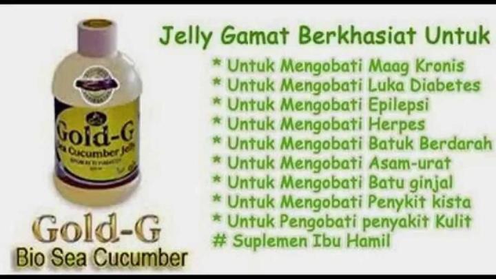 Gold G Jelly Gamat - 320 ML | Lazada Indonesia