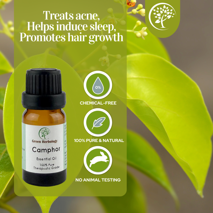 Pure Camphor Essential Oil | Lazada