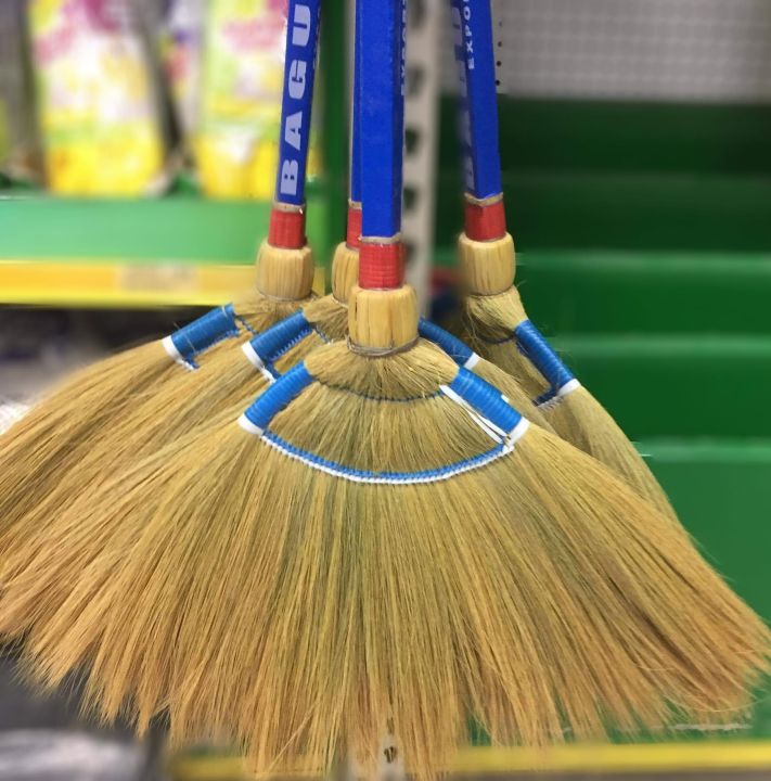 Baguio City Softbroom (Walis Tambo) | Lazada PH