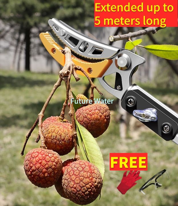 Rambutan Picker Pruner Cutter Shear Extended to 3 meters 5 meters long ...