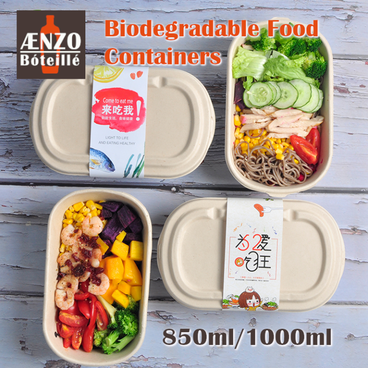 Biodegradable Food Containers | Recyclable container | disposable Lunch ...