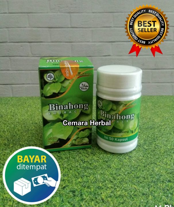 Kapsul Daun Binahong Ash Shihhah Original Ekstrak Binahong Isi 60 Kapsul | Lazada Indonesia
