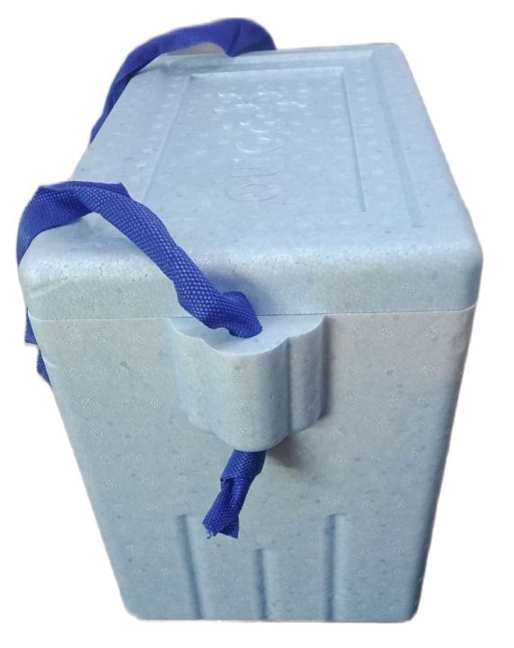 Styro Box Polar Ice Chest in Random Color | Lazada PH