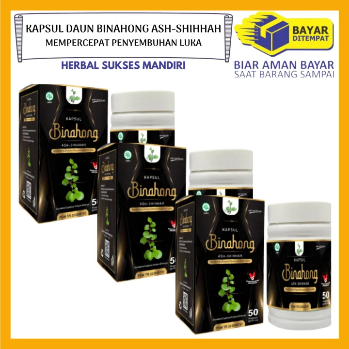 PAKET 3 BOTOL Herbal Ekstrak Kapsul Daun Binahong - 60 Kapsul Ash shihah | Lazada Indonesia