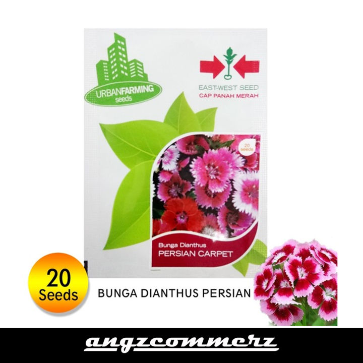 Benih PANAH MERAH Bunga Dianthus Persian Carpet 20 Seed | Lazada Indonesia