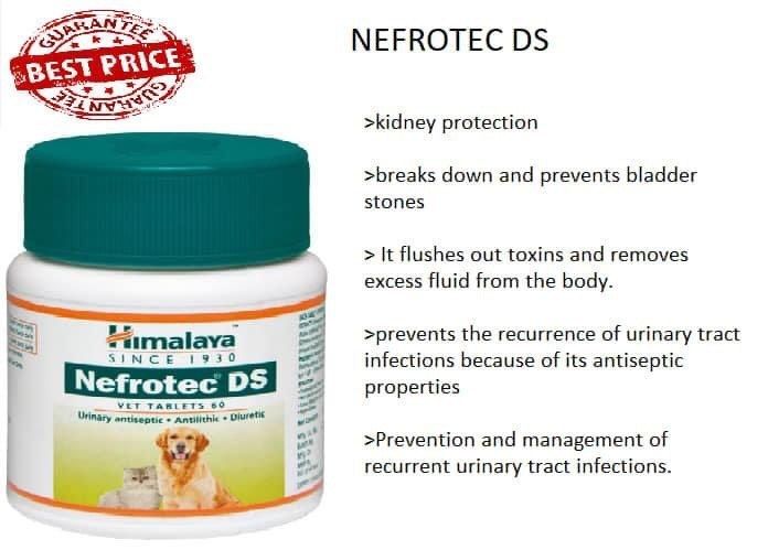 Himalaya Nefrotec Ds | Lazada PH
