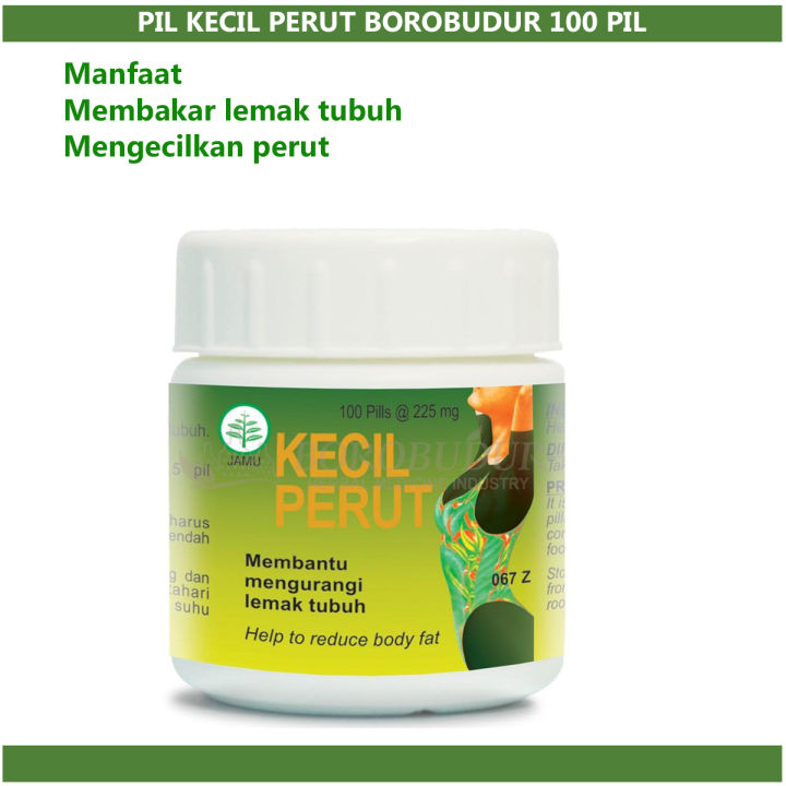 KECIL PERUT Borobudur 100 PIL - Herbal Obat Pelangsing dan Mengurangi ...
