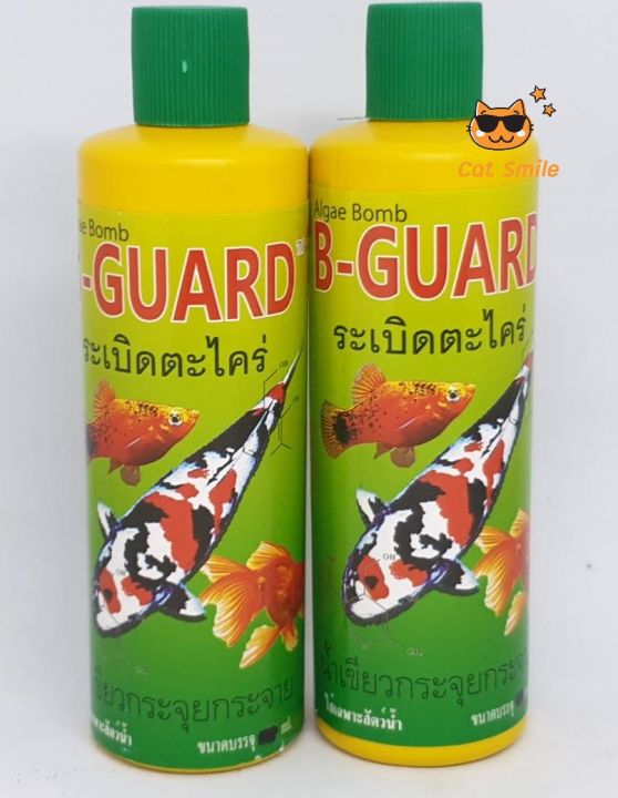 Algae Bomb ระเบิดตะไคร่ น้ำเขียวกระจุยกระจาย ช่วยลดปัญหา น้ำเขียว ...