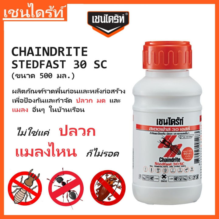 Chaindrite เชนไดร้ท์ สเตดฟาส 30 เอสซี กำจัดปลวก มด แมลง ในบ้านเรือน ...