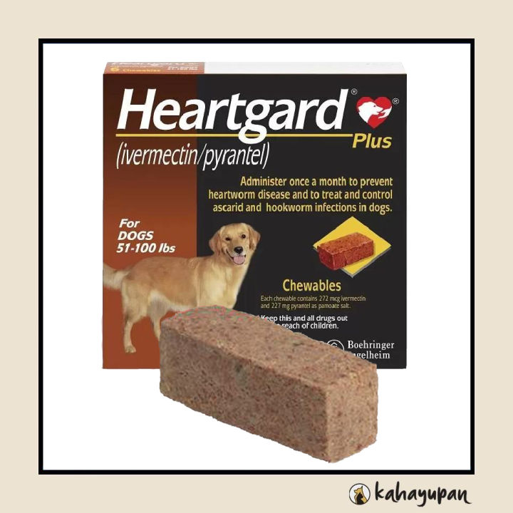 Heartgard Plus Single Deworming Chewables for Large Dogs 23-43kg ...