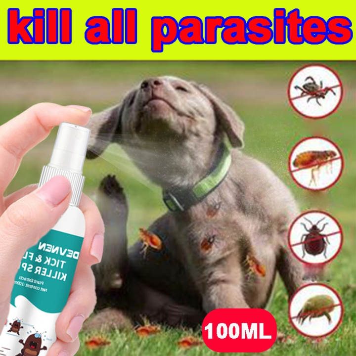 DEVEN 100ML Herbal Ivermectin Tick and Flea Remover Spray for Dogs and ...