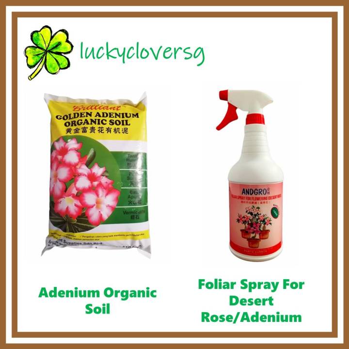 Adenium - Brilliant Golden Adenium Organic Soil, Andgro Foliar Spray ...