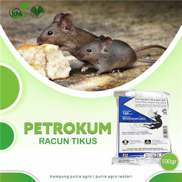 OBAT RACUN TIKUS - PETROKUM - AMPUH MATI KERING | Lazada Indonesia
