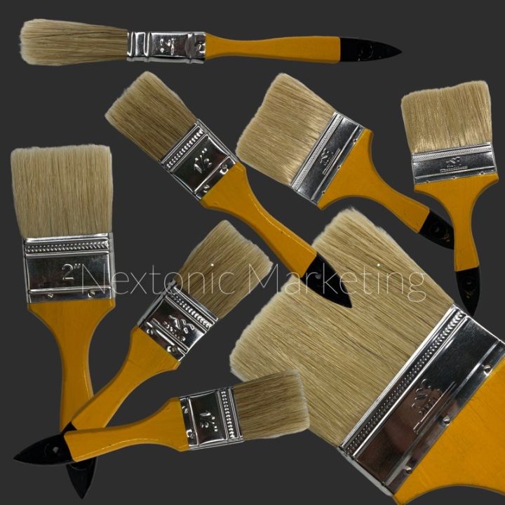 Paint Brush Assorted Sizes(High Quality brush) Omega Brand. | Lazada PH