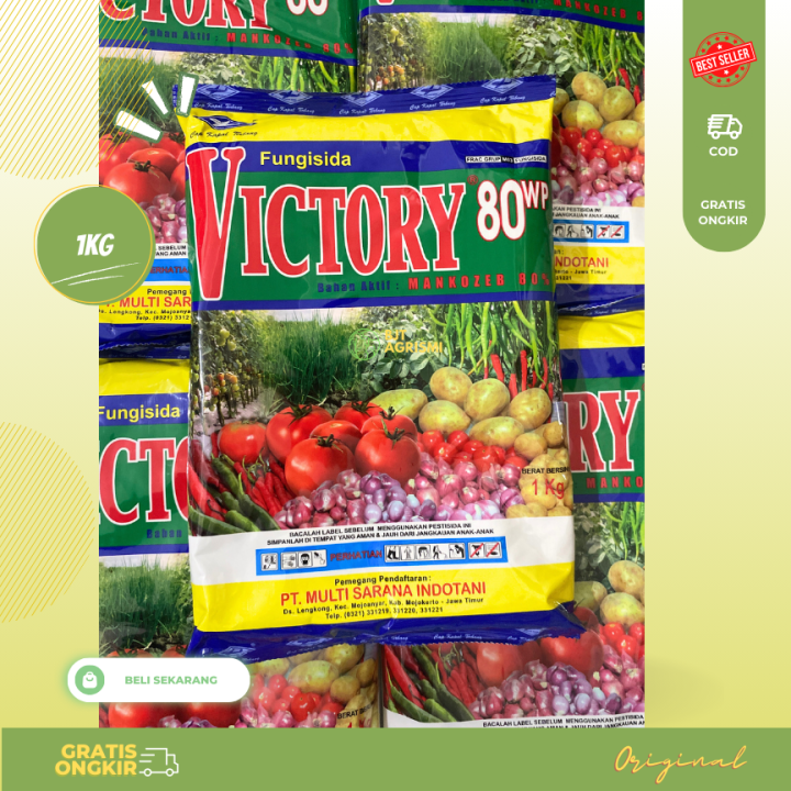 Fungisida VICTORY 80WP 1kg Manzoceb kuning 80% Mengendalikan Hama Jamur ...
