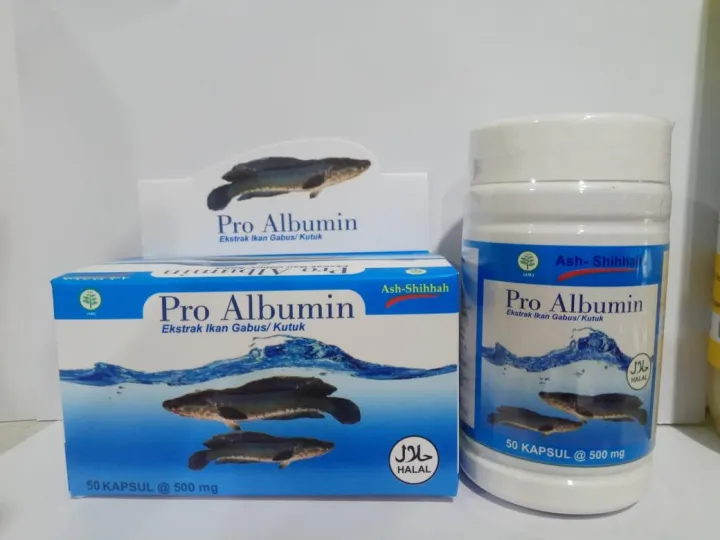BEST PROMO!!! Kapsul Albumin Ash Shihah 50 kpsl [ bubuk ] - Pro Albumin ...