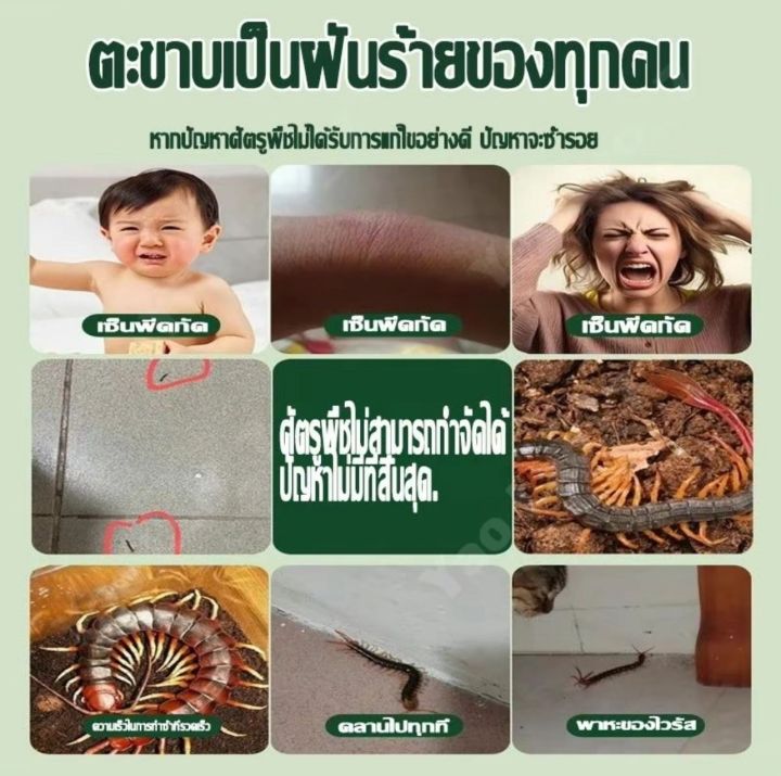 🐱10000 เมตร ไม่มีแมวแล้ว🐱 ที่ไล่แมว ก้อนไล่แมว ไล่แมวเข้าบ้าน ยาไล่แมว ...