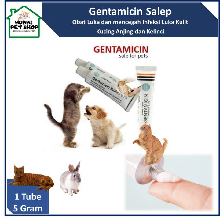 Salep Gentamicin / Salep Luka Kucing / Obat luka-mencegah infeksi ...