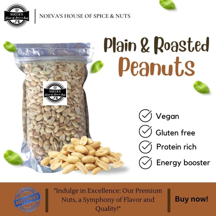 PLAIN ROASTED PEANUT (1KILO)(500,250,100GRAMS) | Lazada PH