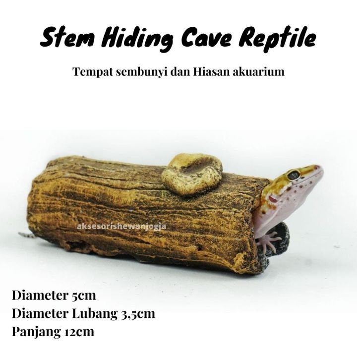 Stem Hiding Cave Kayu Tempat Sembunyi Reptile | Gecko | Hiasan Aquarium ...