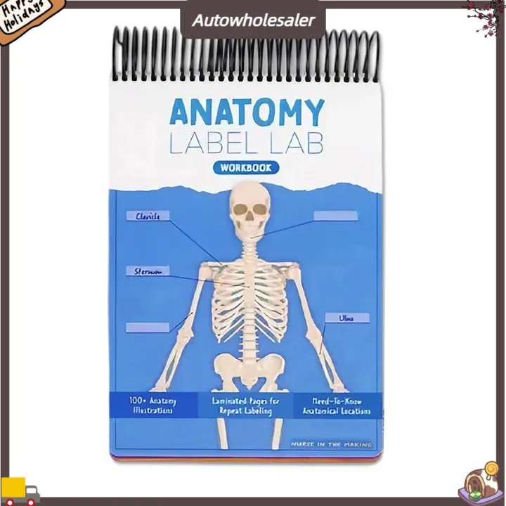 Autowholesaler Interactive Anatomy Practice for Students Anatomy ...