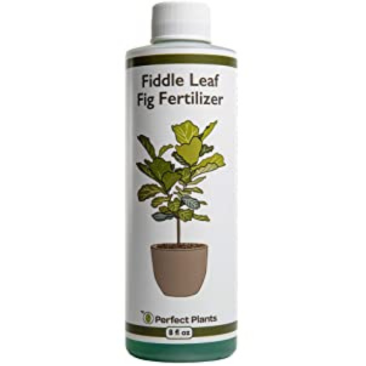 Fiddle Leaf Fig Tree Liquid Plant Food with Micronutrients, 8 fl.oz ...