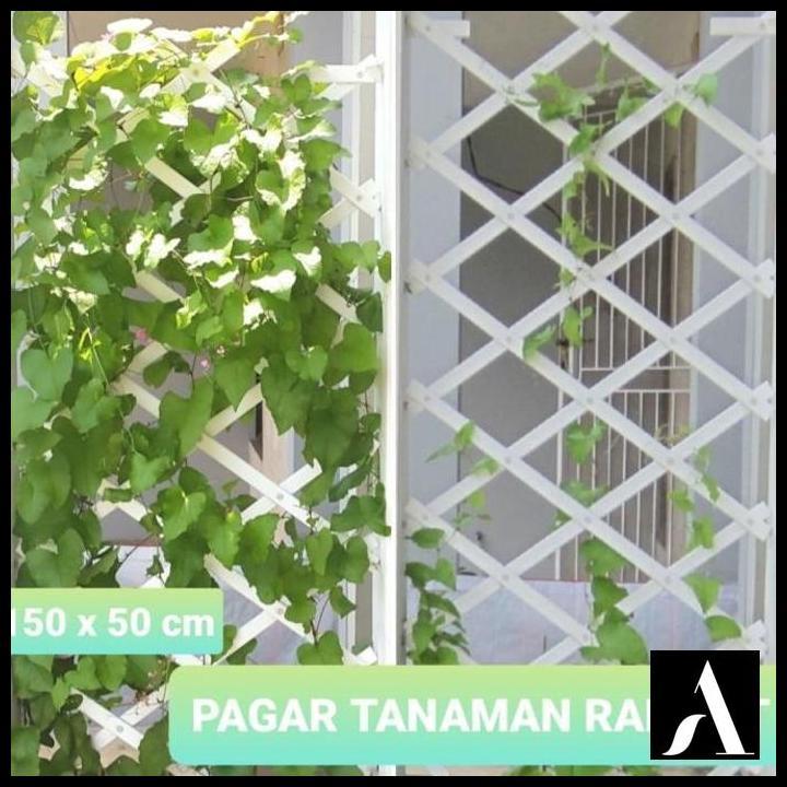 PAGAR TANAMAN RAMBAT 150 CM X 50 CM PLASTIK PUTIH - AZZASHOP25 | Lazada ...