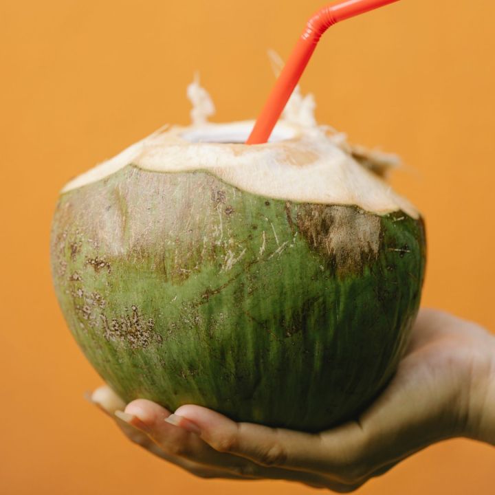 Fresh Pandan Coconut Without Hole | Lazada