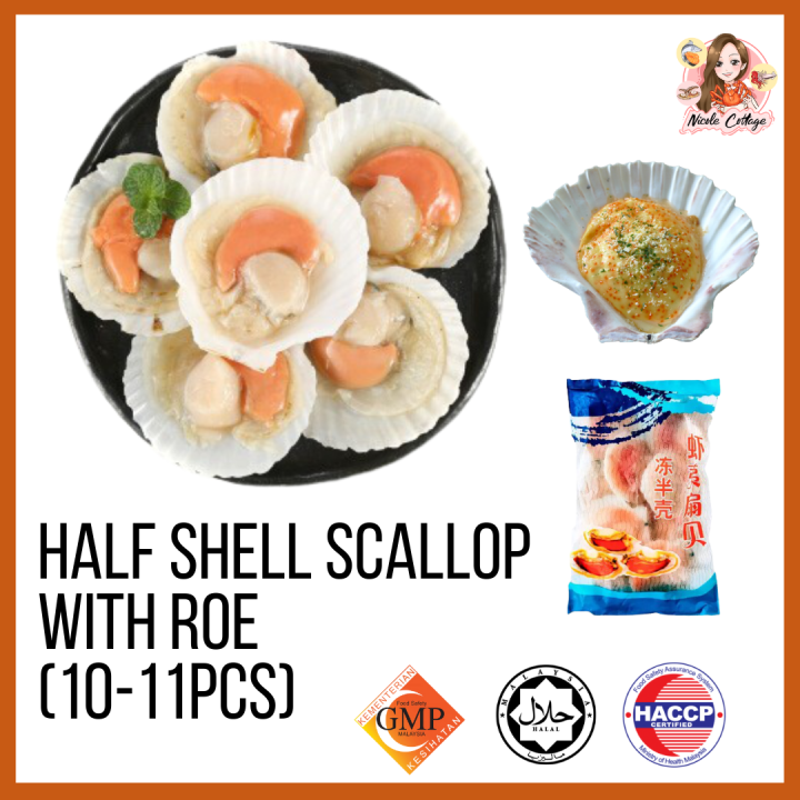 Half Shell Scallop With Roe 1kg | Lazada