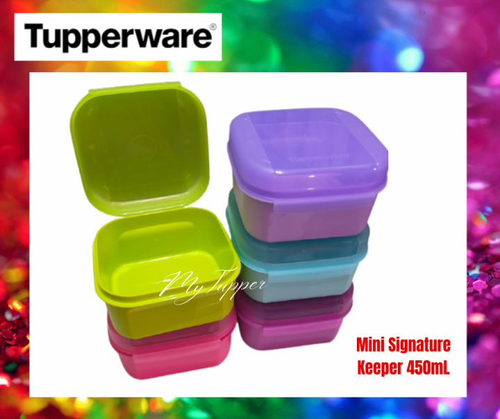 MINI SIGNATURE KEEPER 450 ML | Lazada PH