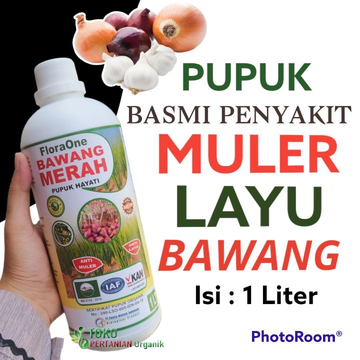 Pupuk Hayati Cair bawang putih, Pengendali Hayati FLORAONE untuk bawang ... Pupuk Hayati Cair bawang putih, Pengendali Hayati FLORAONE untuk bawang ...