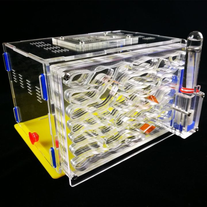 New Ant Nest City C1 Insect Cage Farm With Feed Hamper Acrylic Display ...