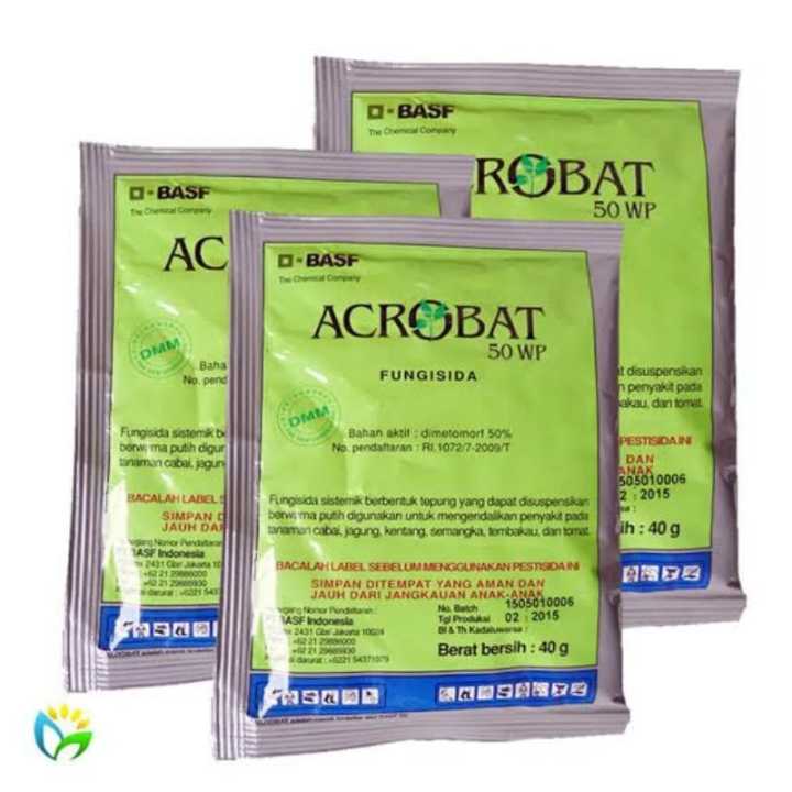Fungisida Acrobat 50 WP 40 gram | Lazada Indonesia