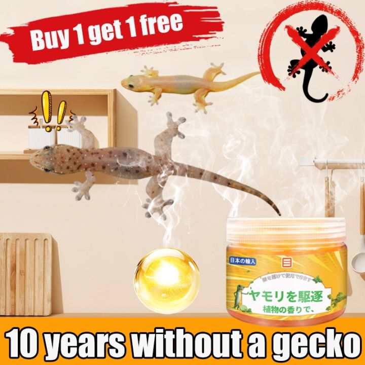 10 years without a gecko Lizard repellent Lizard killer Gecko repellent ...