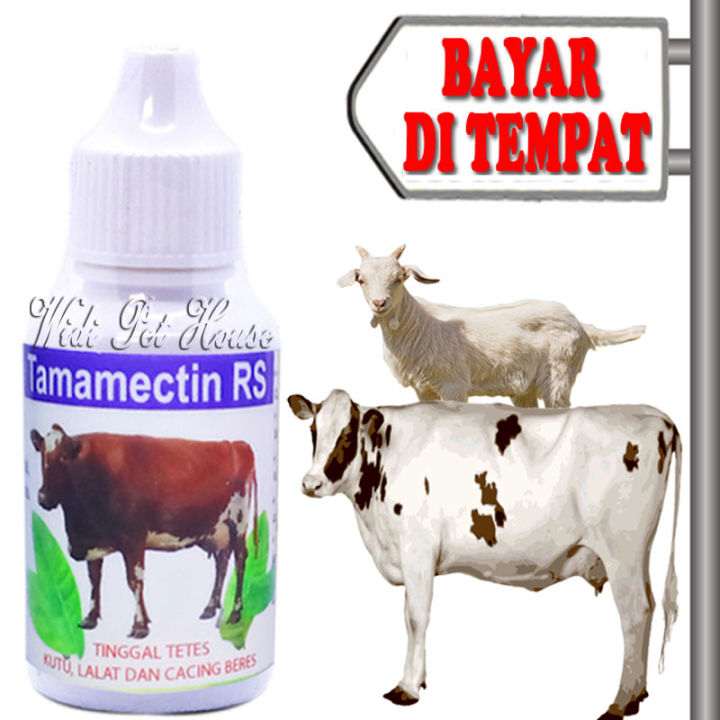 Obat Anti Kutu Sapi Kerbau Kambing Domba Kuda Tetes Basmi Tumo Tungau ...