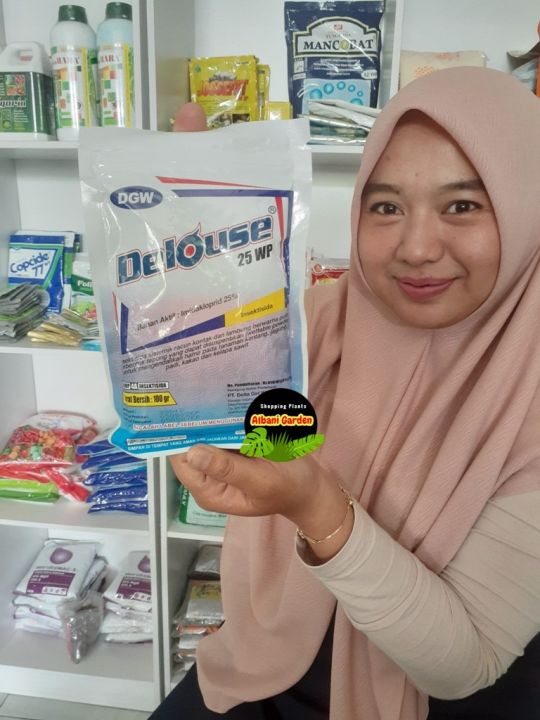 Insektisida Sistemik Delouse 25 WP 100 Gram DGW Obat Racun Hama Delus ...